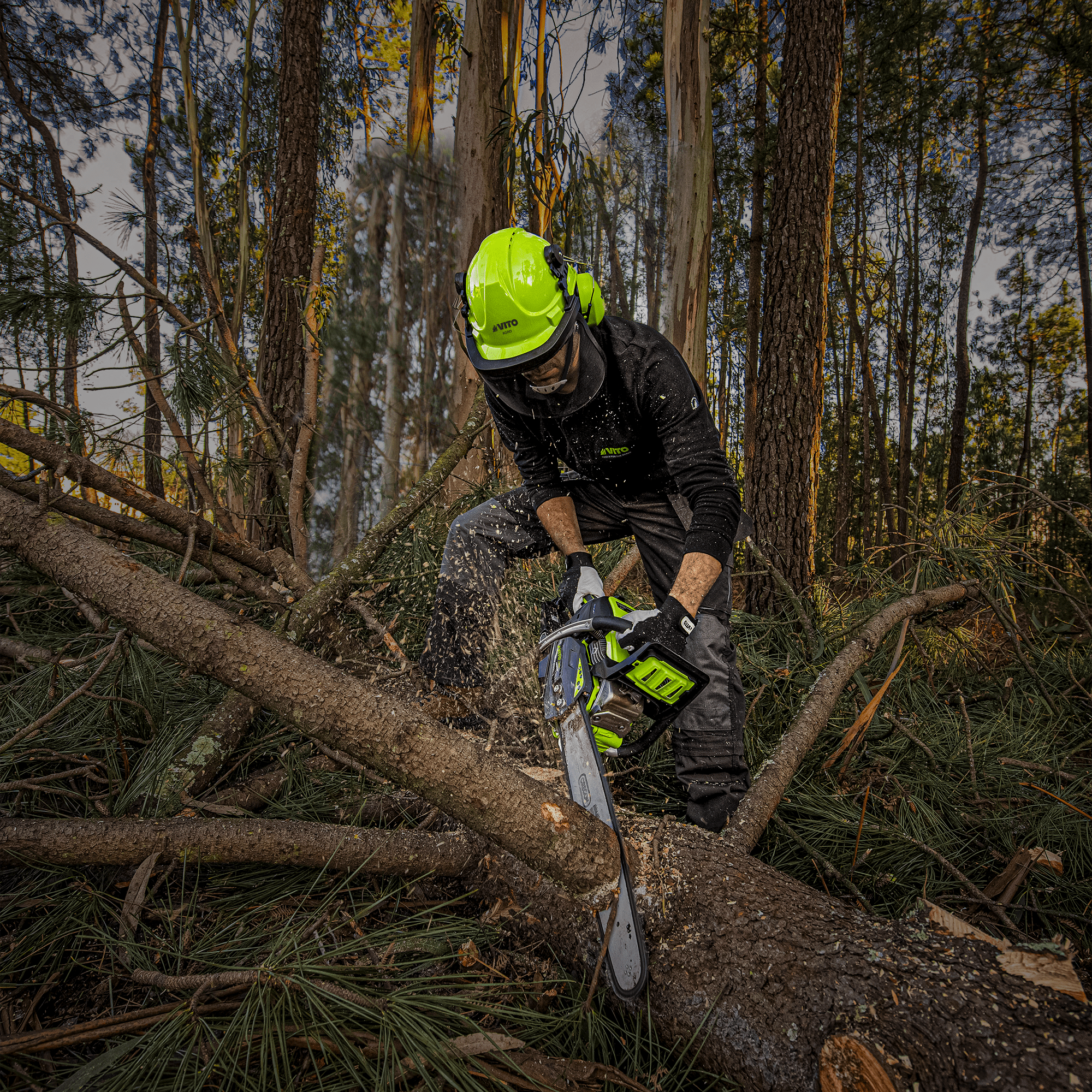 VIMS55 | Motosserra Magnum 55Cc | VITO